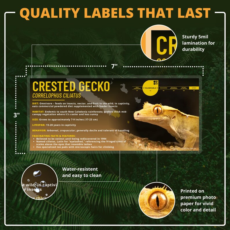 Custom Corn Snake Label – Laminated Enclosure Tag for Pantherophis ...
