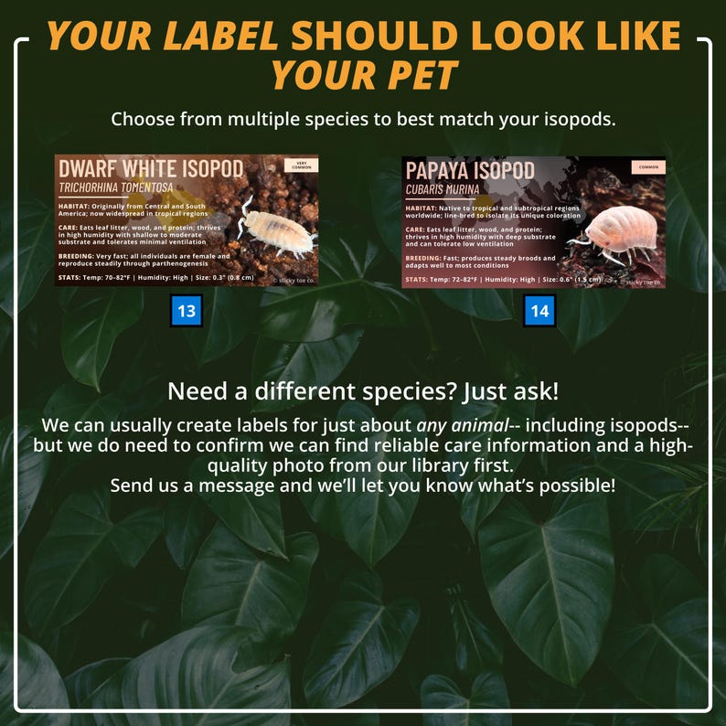Isopod Bin Labels – Laminated Species Labels for Isopod Colonies - Etsy