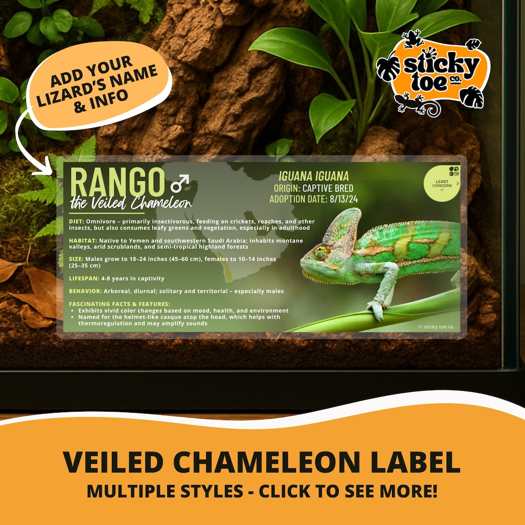 Custom Veiled Chameleon Label – Laminated Enclosure Tag for Chamaeleo ...