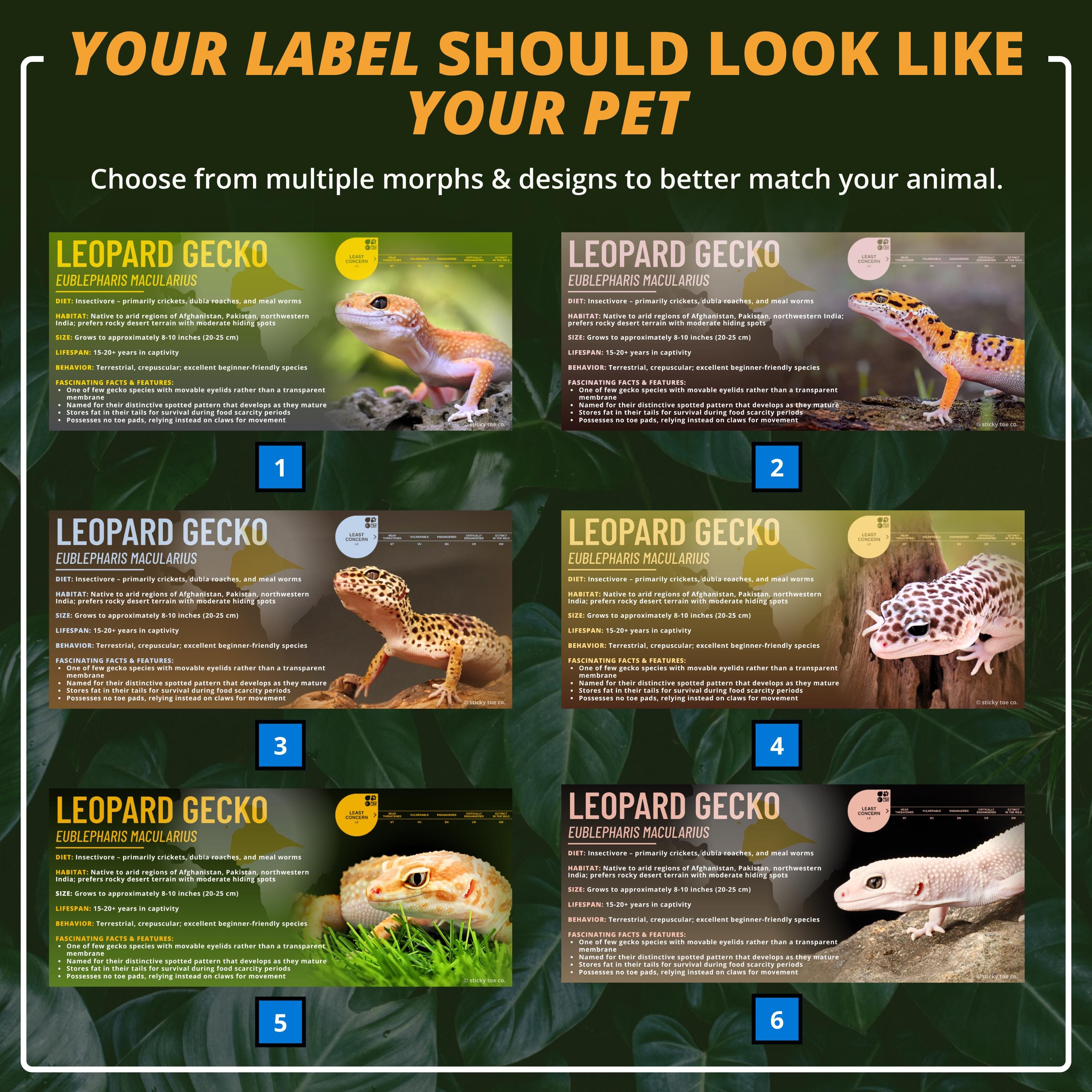 Custom Leopard Gecko Label – Laminated Enclosure Tag for Eublepharis ...