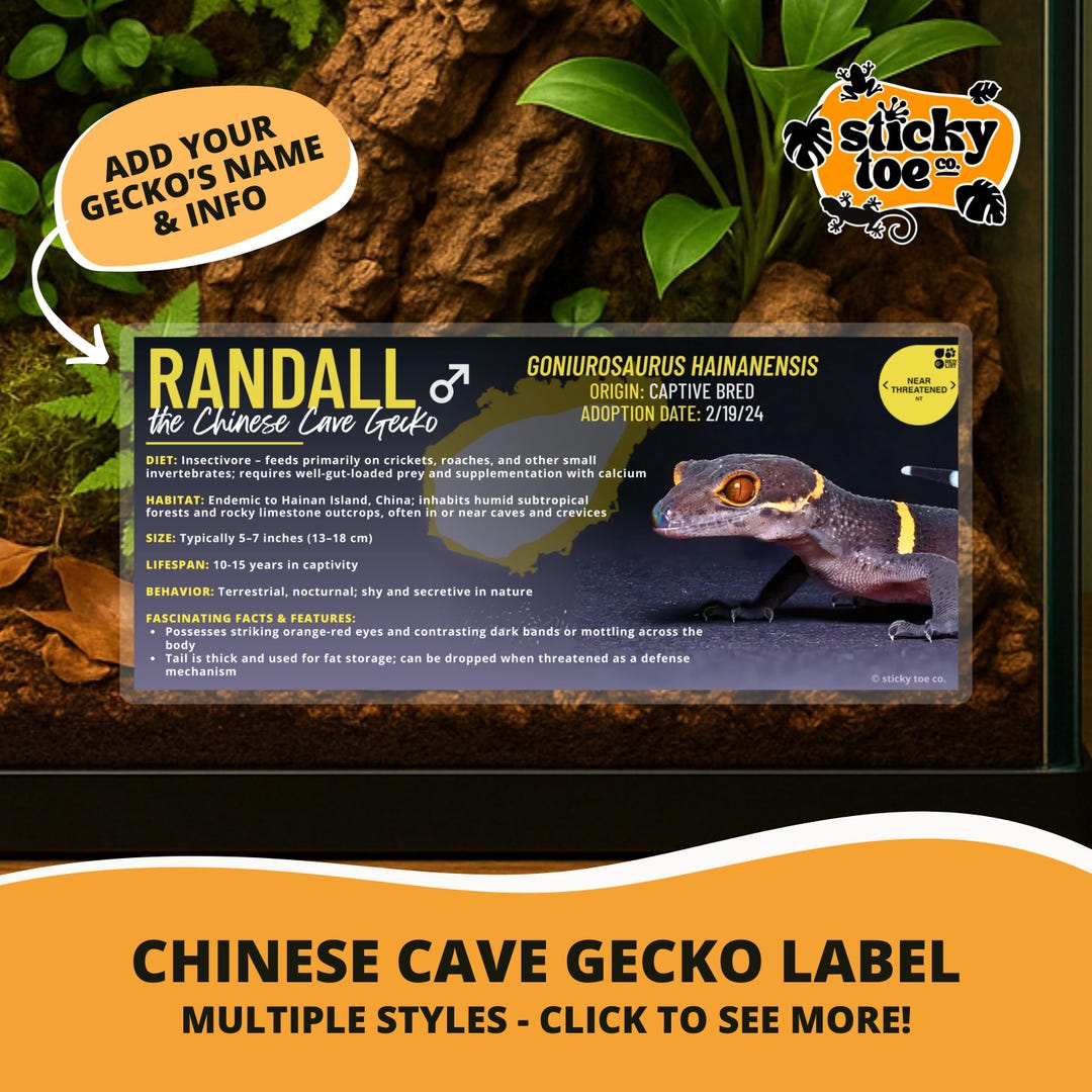 Custom Chinese Cave Gecko Label – Laminated Enclosure Tag for ...