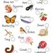 5 Digital I-spy Charts for Children | Seasons | Farm - Etsy