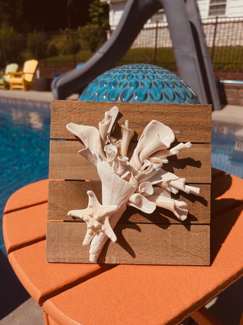 Beautiful Shell Collage - Etsy