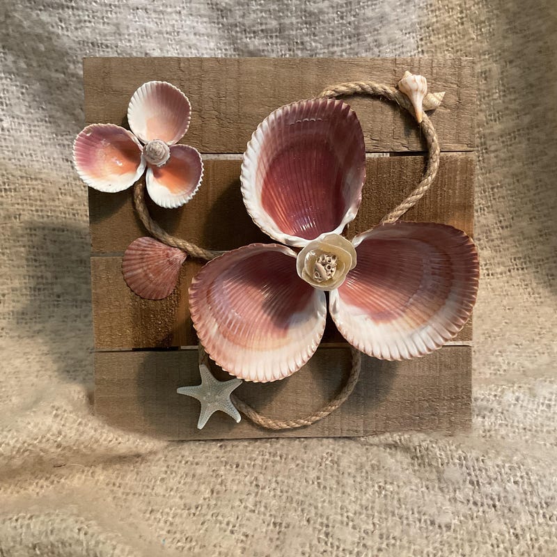 Shell Arrangements - Etsy