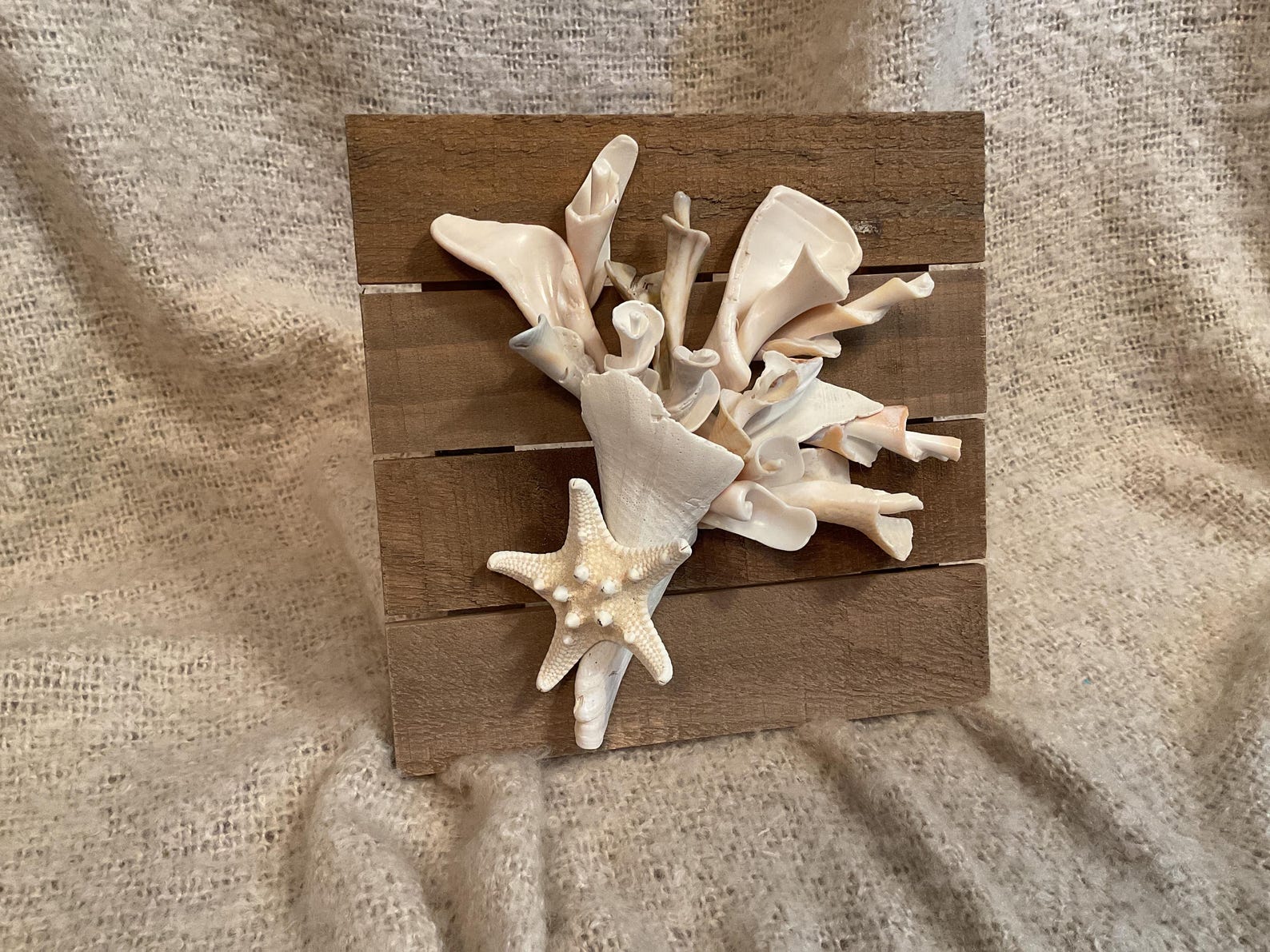 Beautiful Shell Collage - Etsy