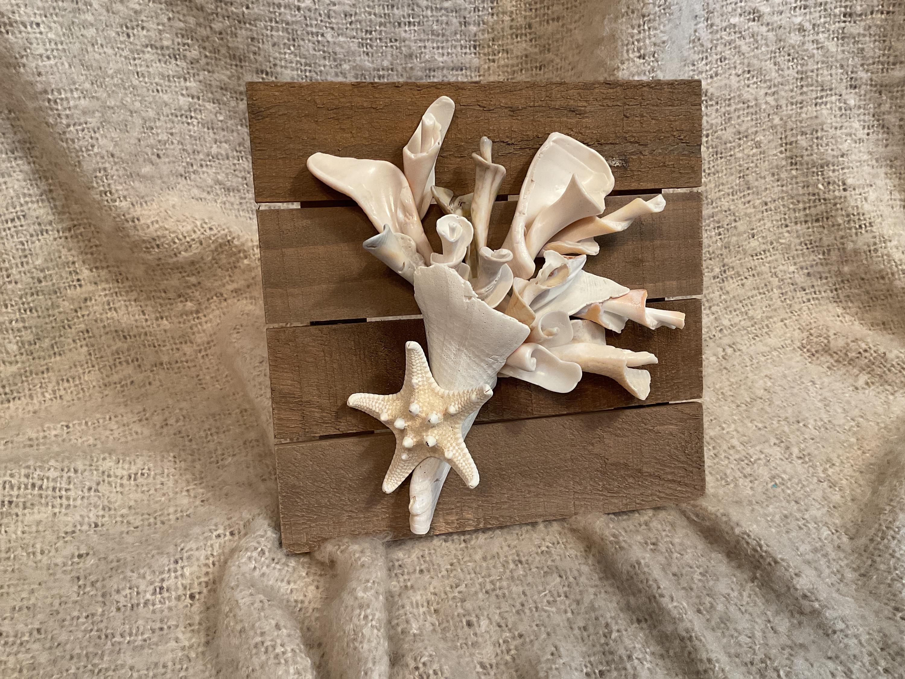 Beautiful Shell Collage - Etsy