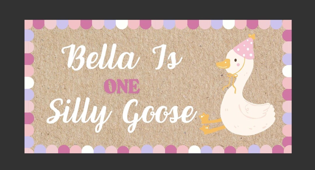Silly Goose Birthday Painted Banner - Etsy