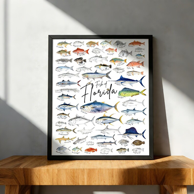Florida Fish Identification Poster, Coastal Cottage Wall Art, Fishing ...