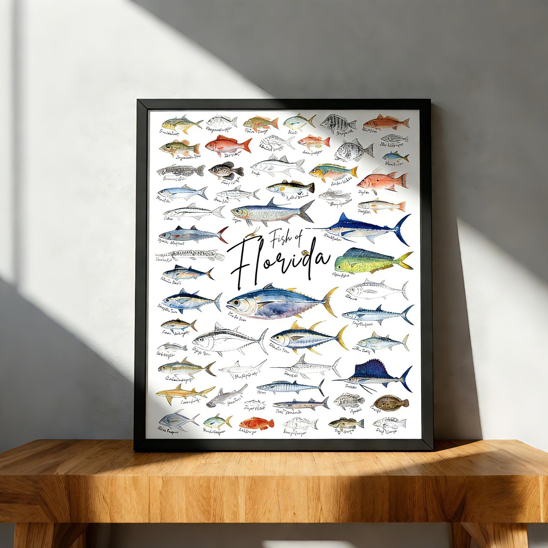 Florida Fish Identification Poster, Coastal Cottage Wall Art, Fishing ...