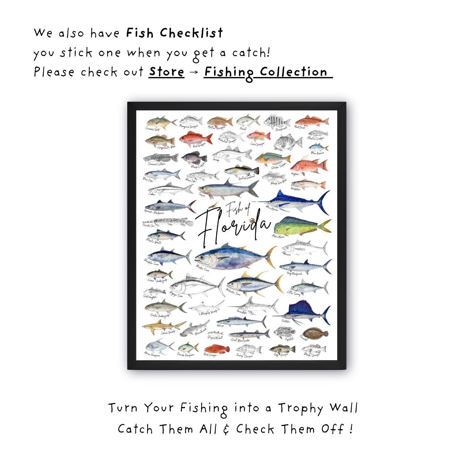 Florida Fish Identification Poster, Coastal Cottage Wall Art, Fishing ...
