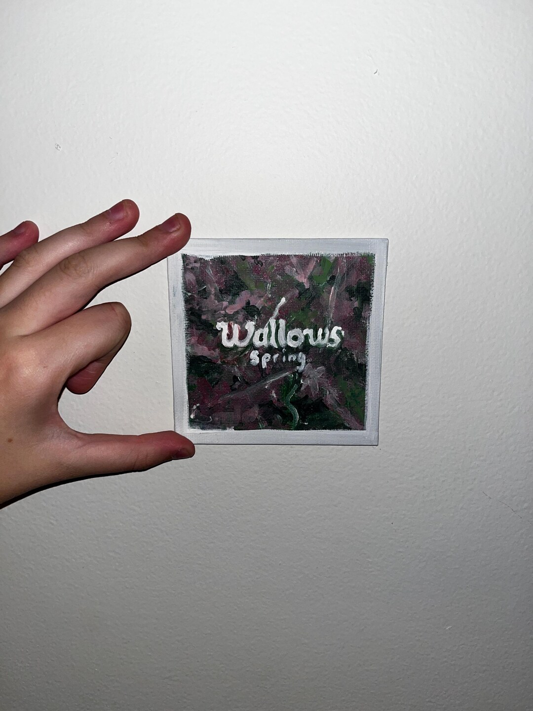 Wallows Album Art Spring Ep - Etsy