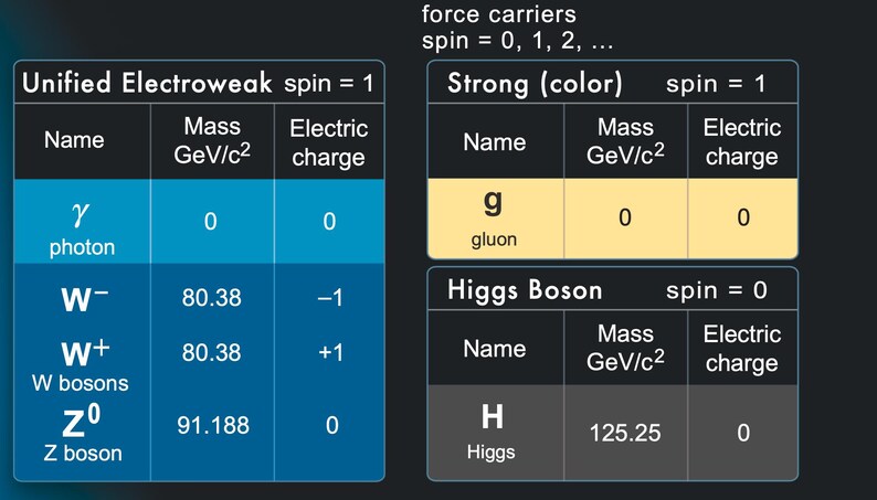Fundamental Particle Chart, Quarks, Leptons, Higgs Boson - Etsy