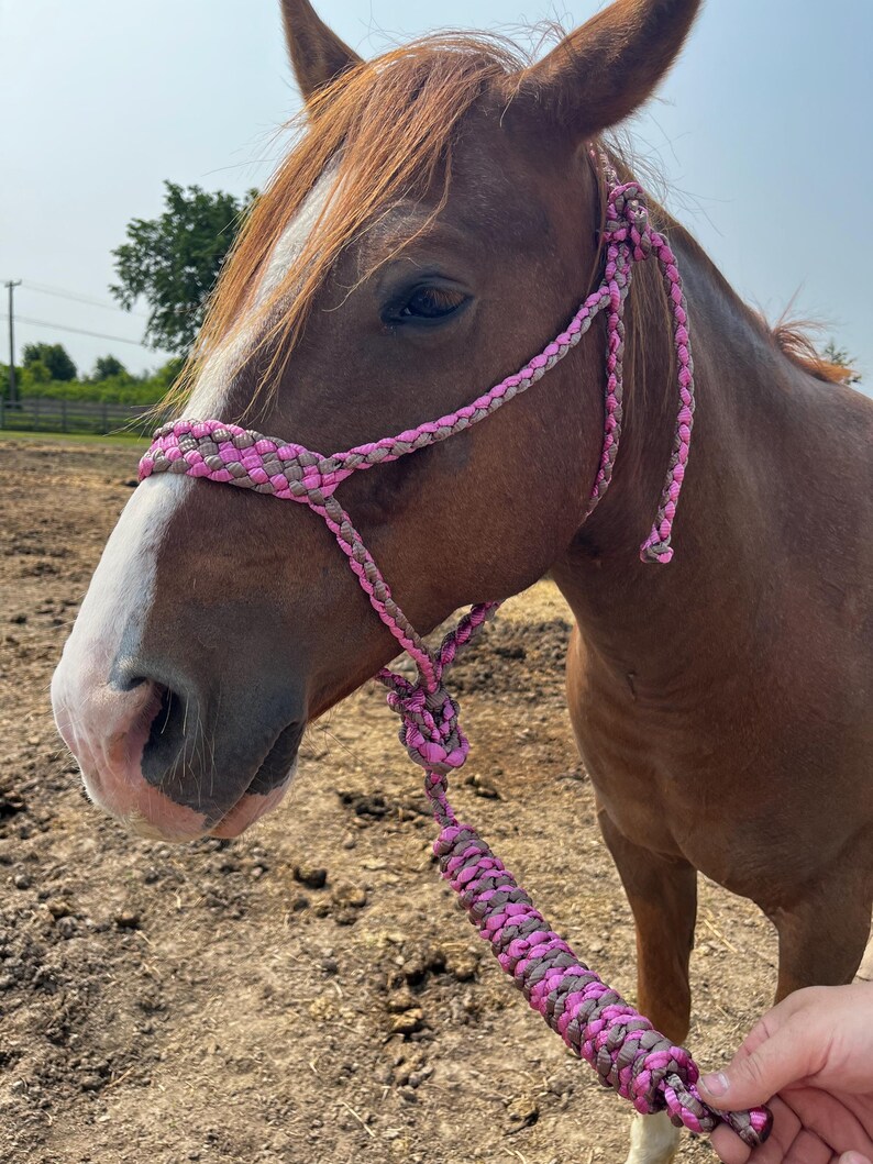Muletape Horse Halter, Matching Detachable Lead Rope, Horse Lover, Gift ...