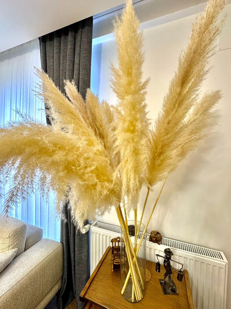 Fluffy Pampas - Pampass Grass Bouquet-natural Wild Dried Flower Bunch ...