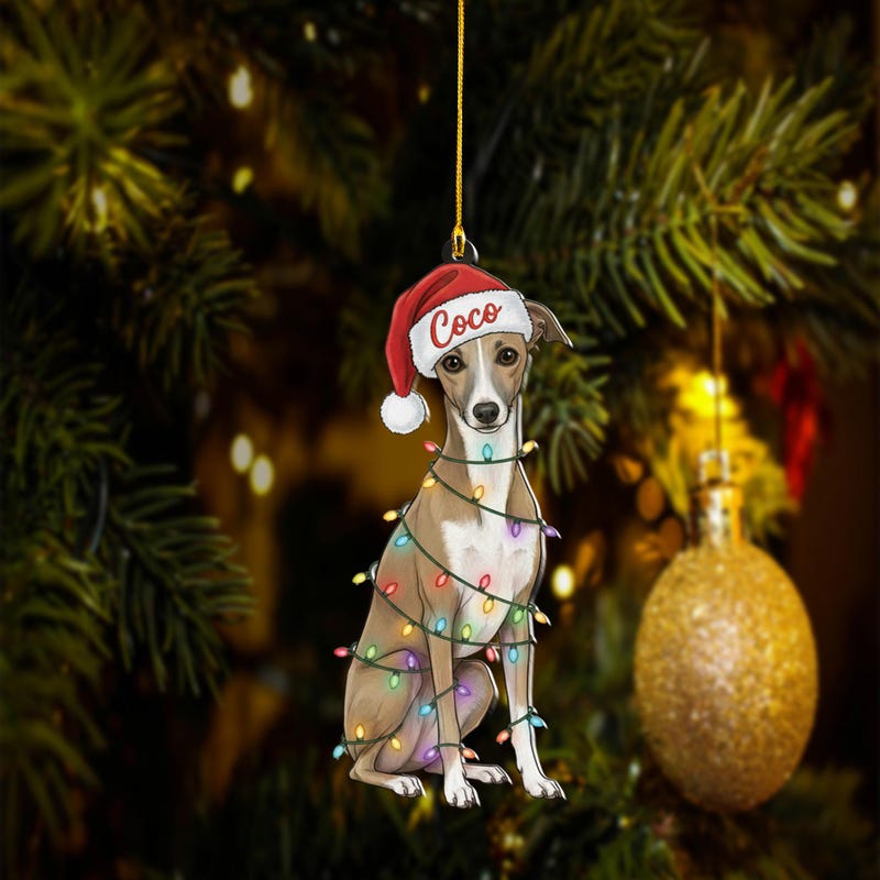 Iggy Decorations - Etsy