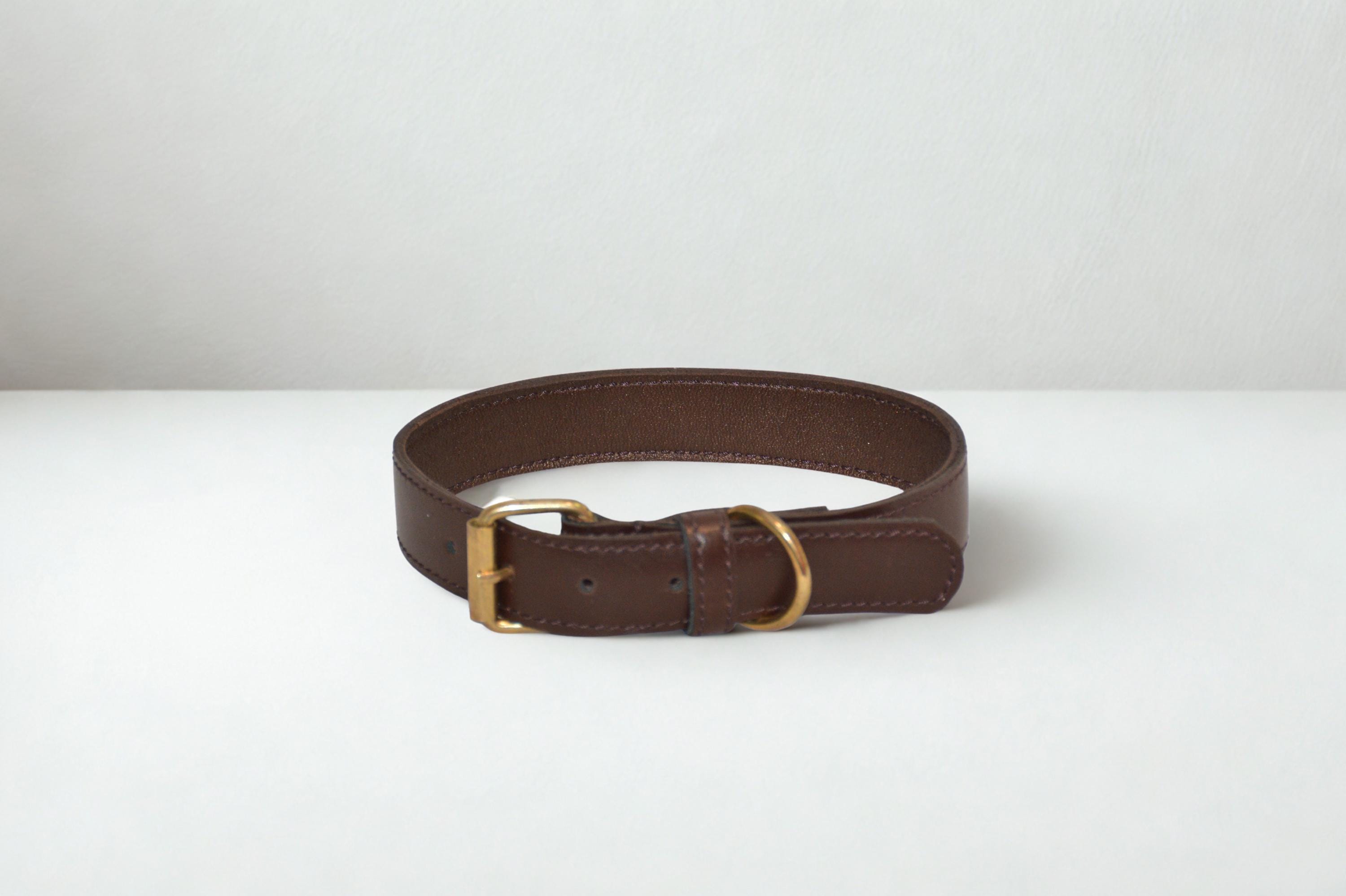 The Rich Brown Luxury Dog Set – Harness, Leash, Collar & Poop Bag ...