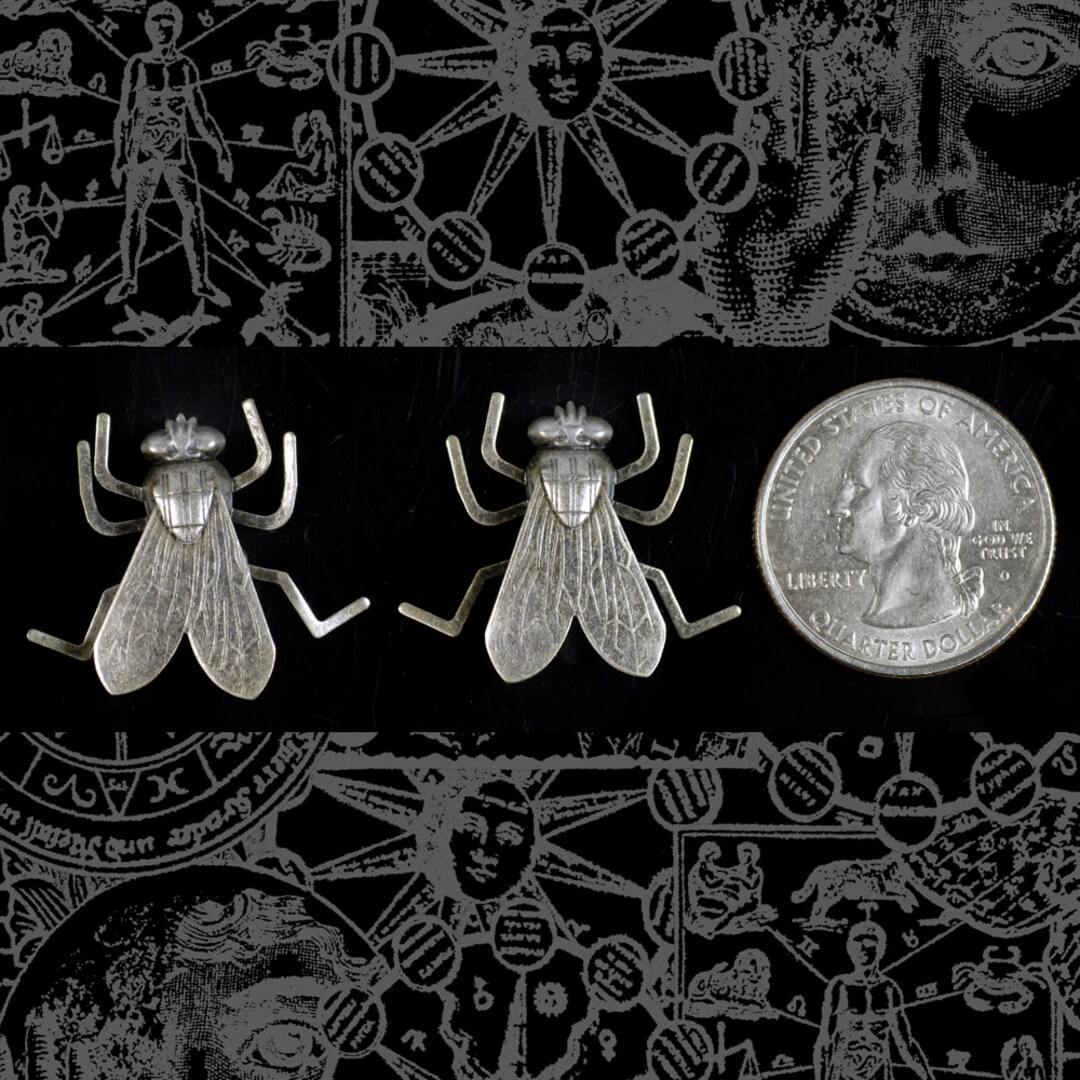 Life-sized Fly With Bendable Legs Silver Plated Brass Set of 2 - Etsy