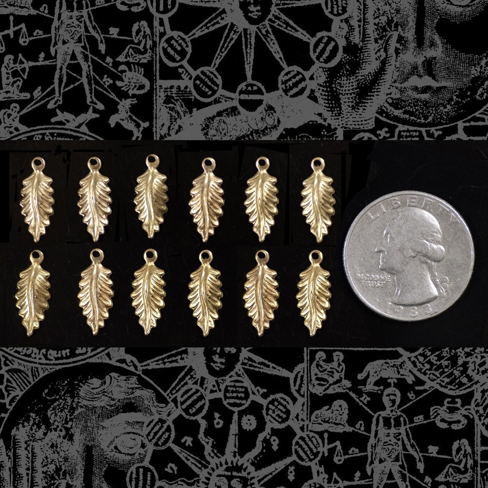 Raw Brass Little Pointed Feather Leaves Charms Set of 12 - Etsy