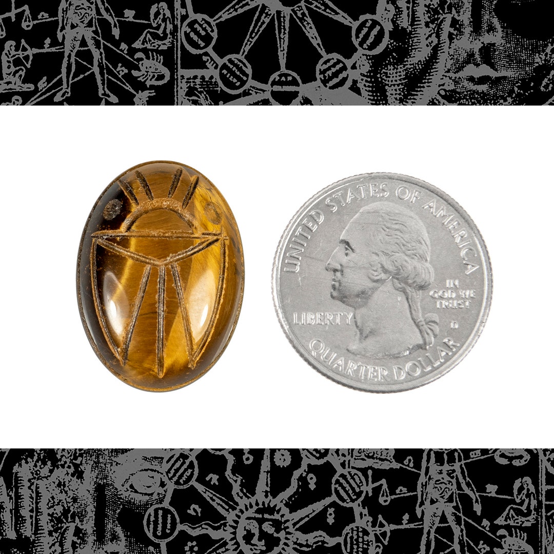 One Carved 25mm X 18mm Tiger-eye Scarab Cabochon - XXX - CAB57 - Etsy