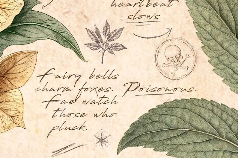 Herbology Witchcraft Print: Vintage Botanical Deadly Poisonous Grimoire ...