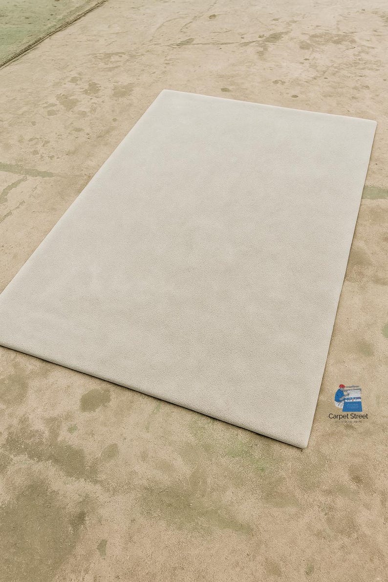Light Grey Area Rug | Solid Rectangle Carpet | Minimalist Modern Living ...