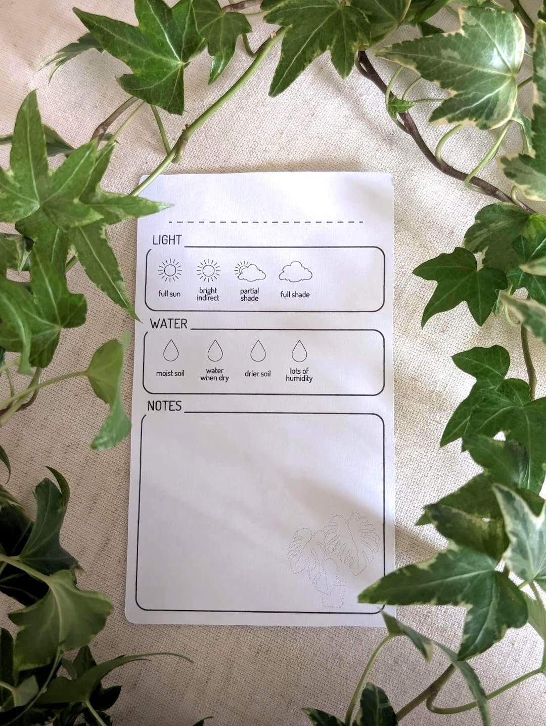 Printable Houseplant Care Label: Track Watering & Light (PDF Download ...