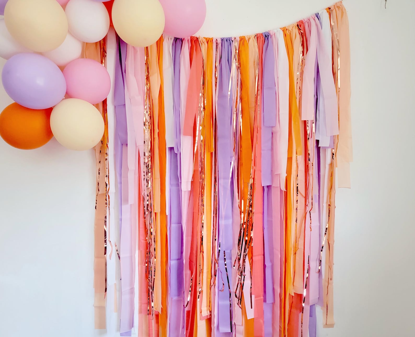 Fringe Backdrop|streamer Backdrop | Customizable Birthday Party ...