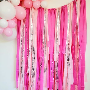 Fringe Backdrop,streamer Backdrop, Bachelorette Party Backdrop,birthday ...