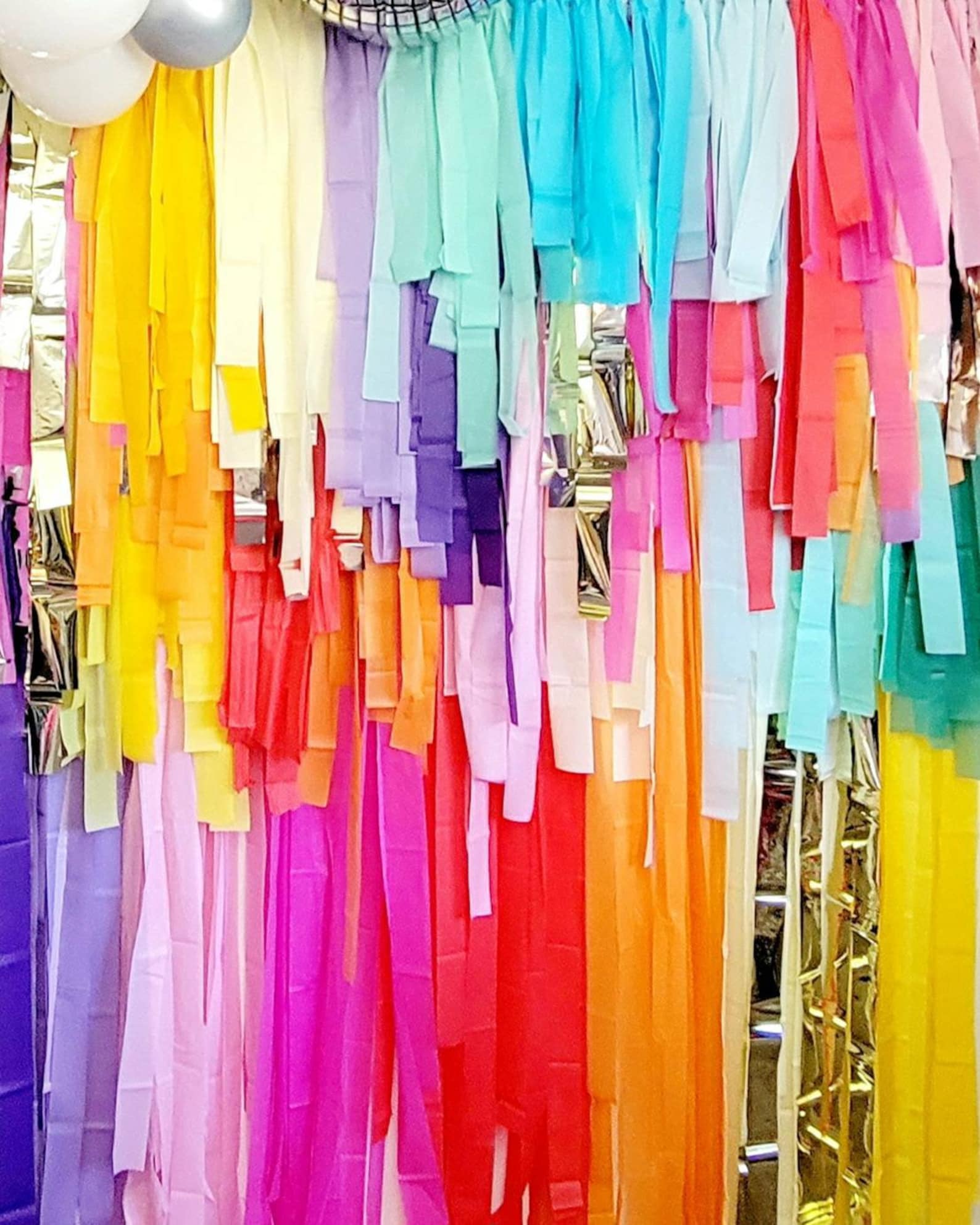 Rainbow Backdrop,fringe Backdrop,plastic Fringe Backdrop,bachelorette ...