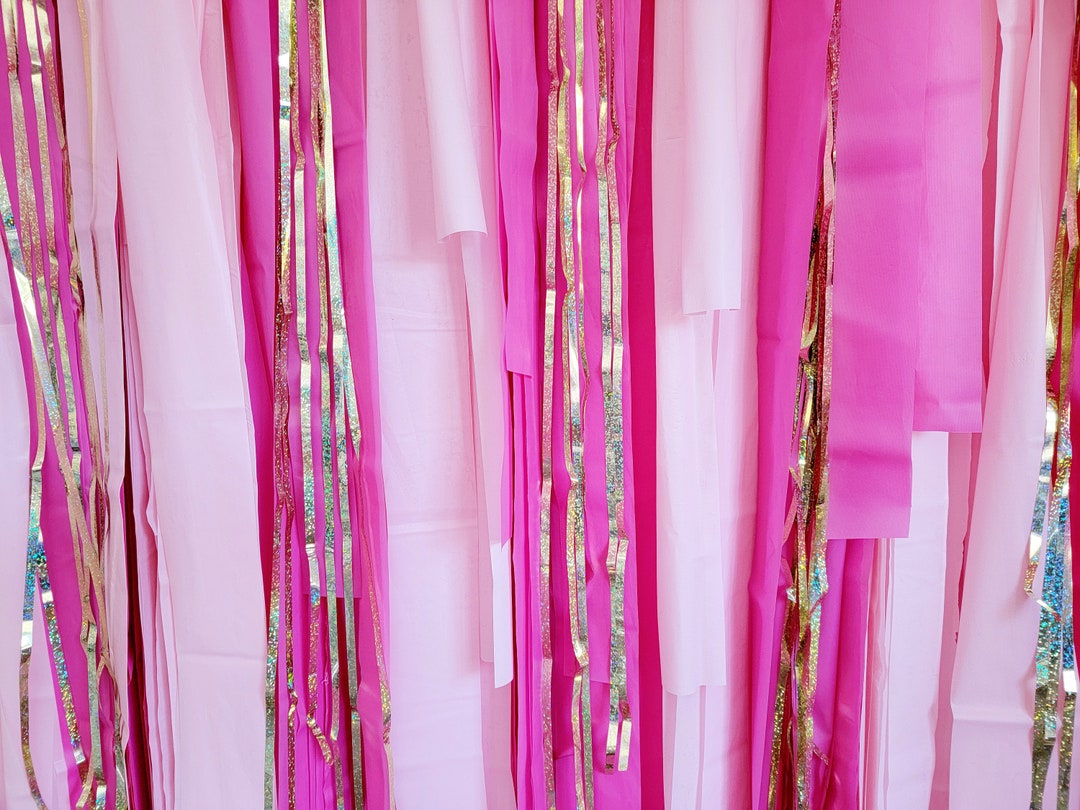 PINK and Gold Fringe Backdrop,streamer Backdrop,bachelorette Party ...