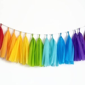 Rainbow Tassel,rainbow Tassel Garland,rainbow Garland,rainbow Tissue ...