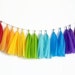 Rainbow Tassel,rainbow Tassel Garland,rainbow Garland,rainbow Tissue ...
