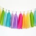 Rainbow Tassel,rainbow Tassel Garland,rainbow Garland, Bright Rainbow ...