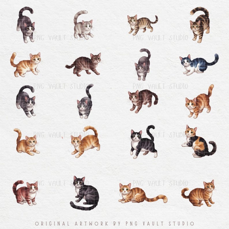 Watercolor Cat Clipart Set, Cute Kitten PNG Bundle, Coquette Cat ...