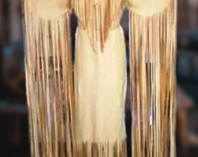 Leather Long Fringe Dress: Plains Indian Style, Native American ...