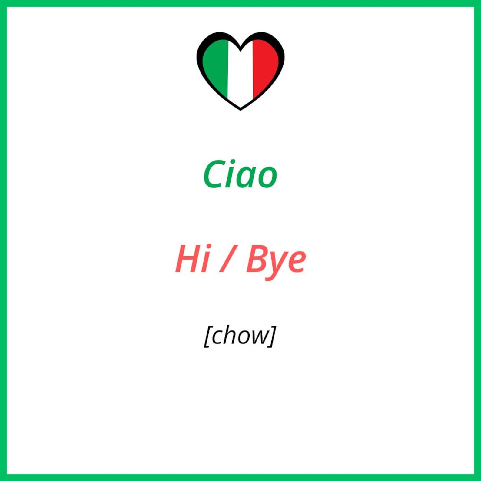 Italian Phrase Flashcards for Beginners: Learn Italian (printable PDF ...