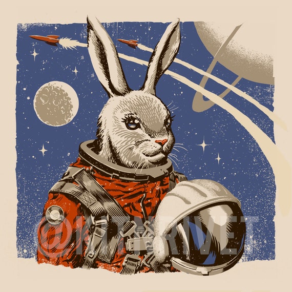 Rabbit In Astronaut Suit