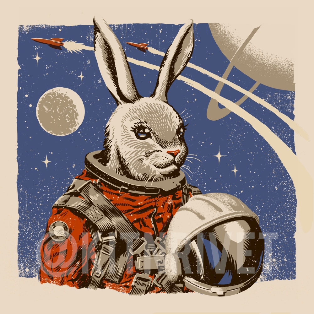 Astronaut Rabbit