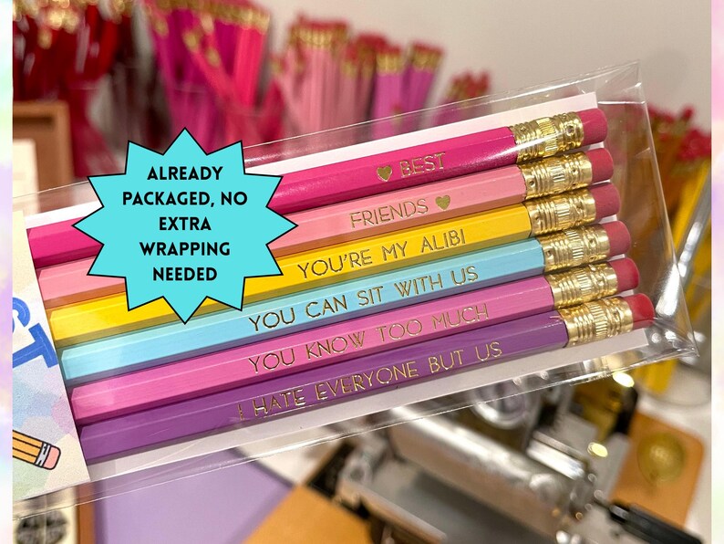 Funny Best Friend Pencil Pack, Set of 6, BFF Gift, Chaotic Friendship ...