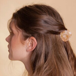 Clams Shell Hair Clips Seaside Shell Hair Clip Sea Shell - Etsy