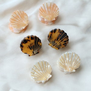Clams Shell Hair Clips Seaside Shell Hair Clip Sea Shell - Etsy