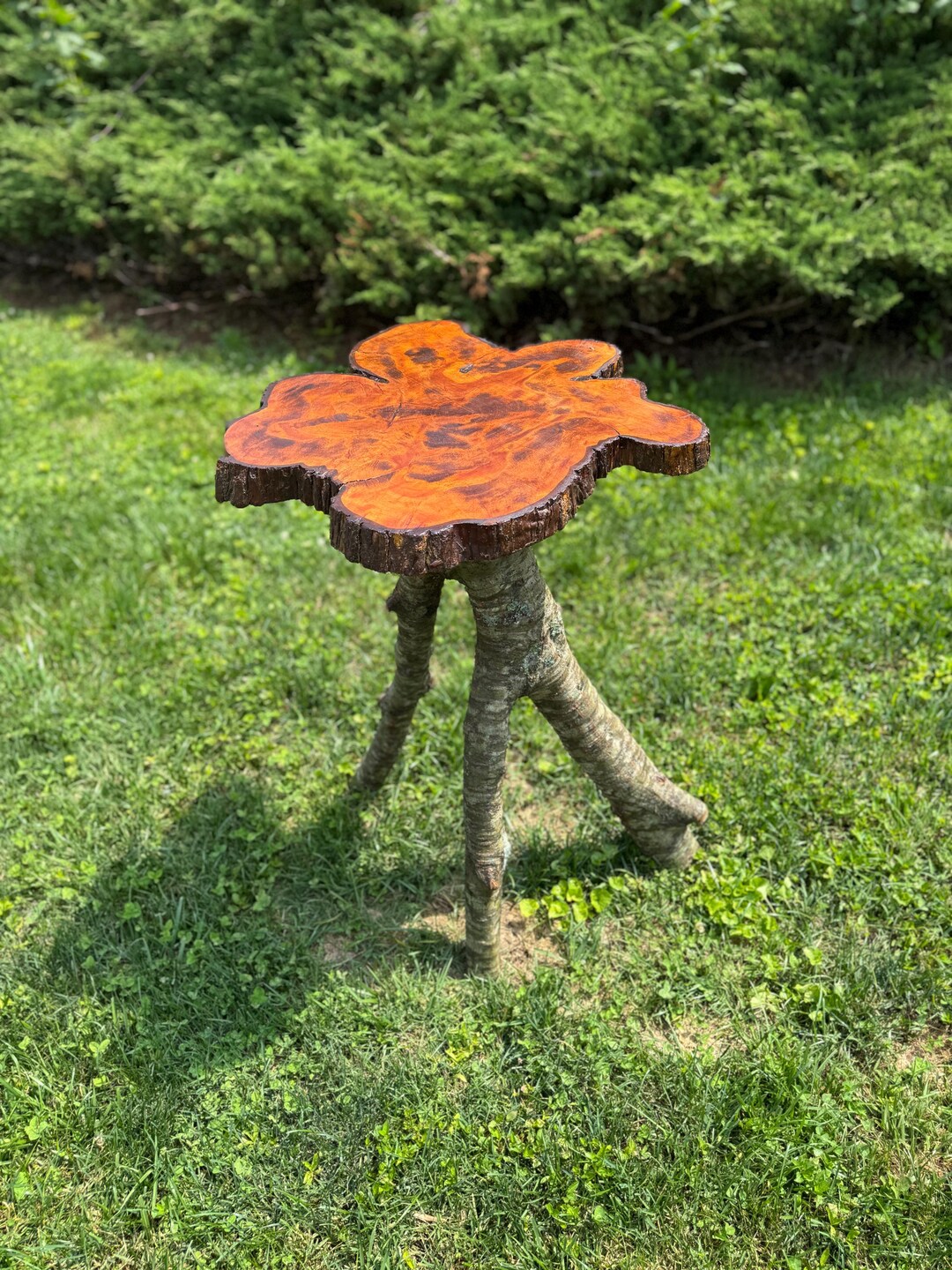 Real Tree Table - Etsy
