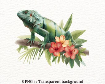 8 Pngs Tropical Iguana Clipart Set • Jungle Lizard PNG • Exotic Reptile ...