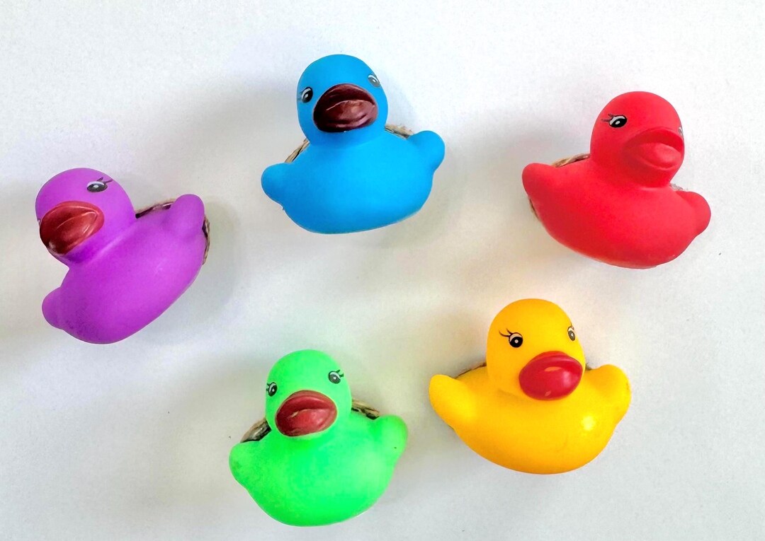 Set of Five Duck Magnets, Cruise Magnets, Cruise Decor, Cruise Gift ...