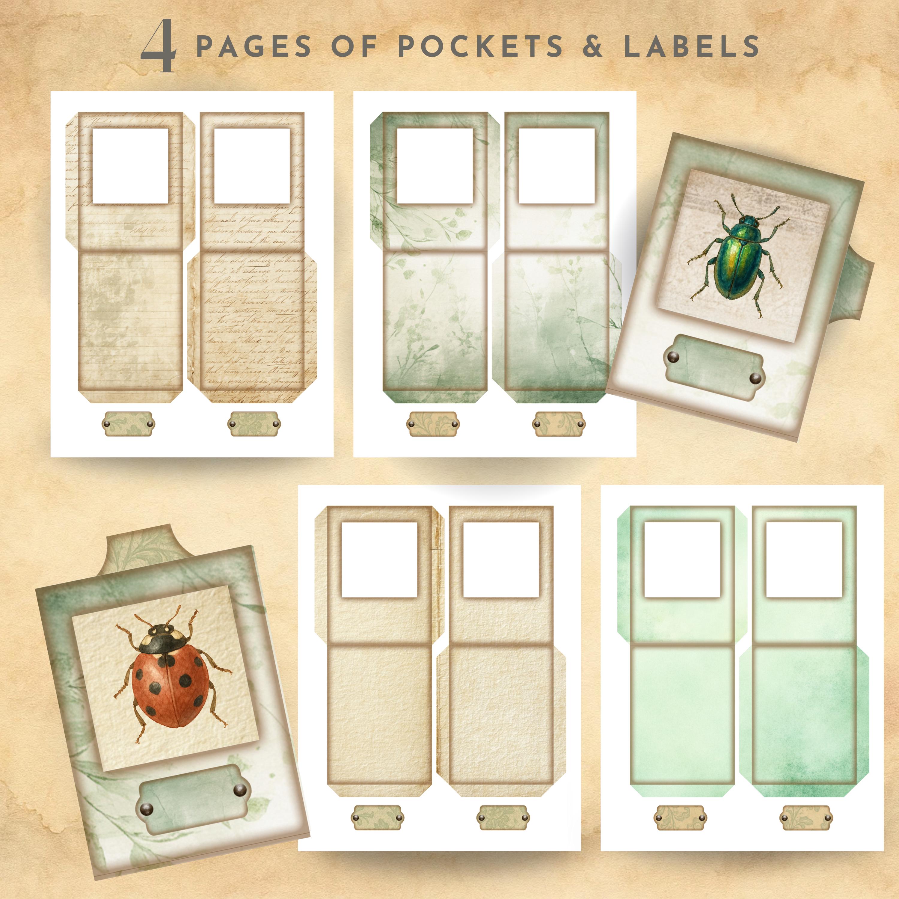 Specimen Cards Printable Junk Journal, Beetle Relics Ephemera, Pockets ...