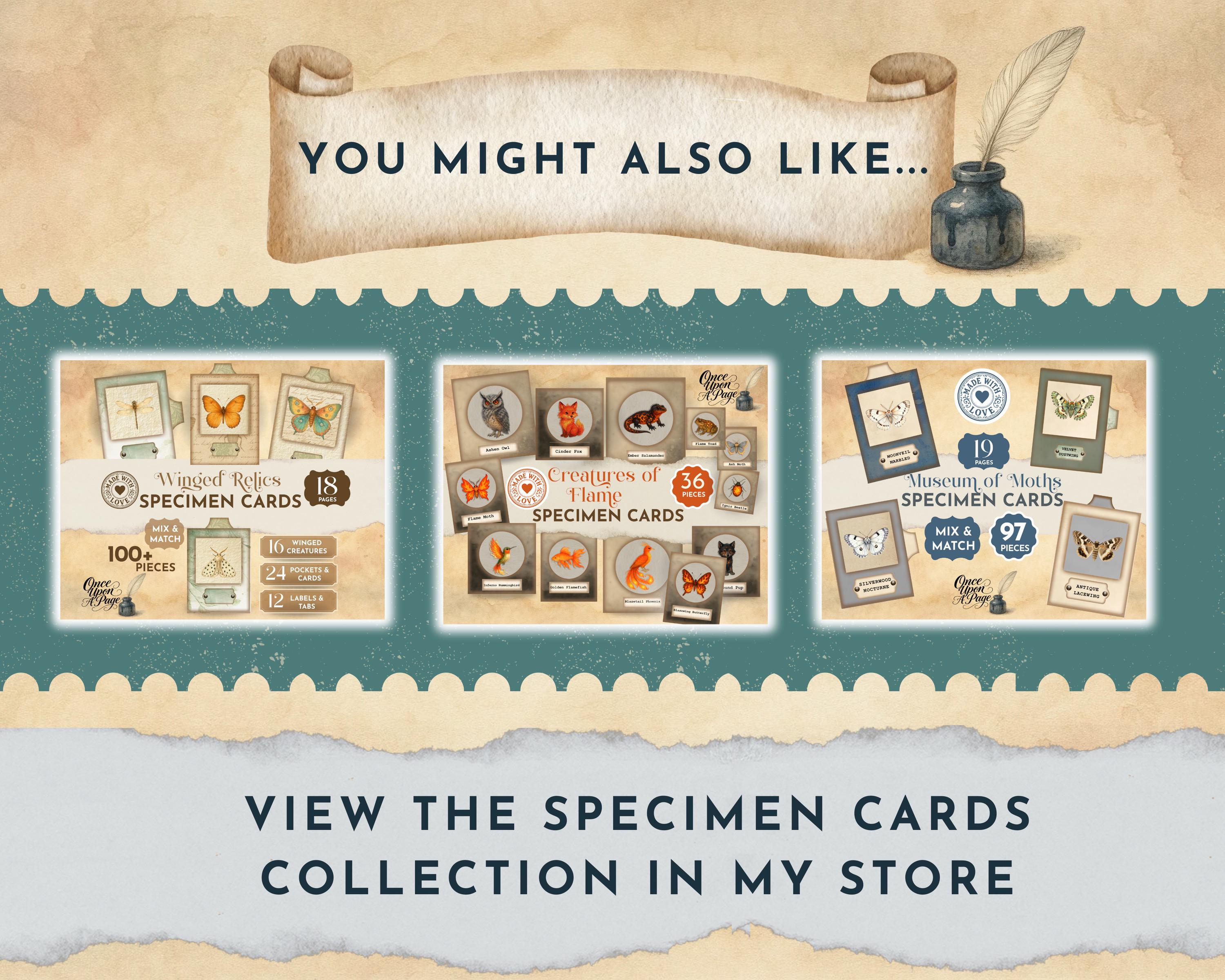Junk Journal Digital Specimen Cards Folio, Enchanted Keys Specimen Card ...