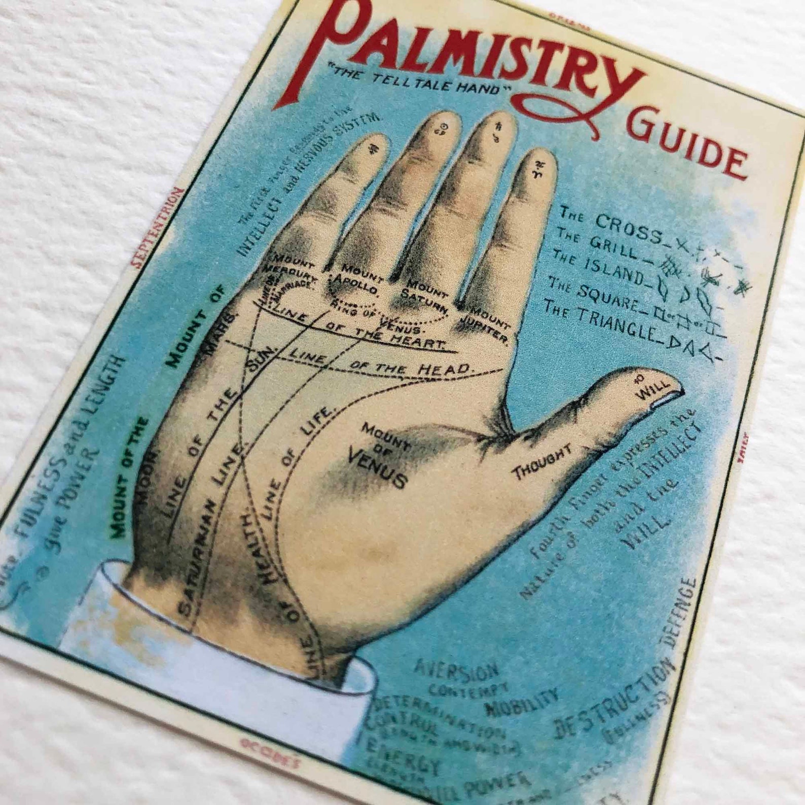 Miniature Vintage Palmistry Guide Poster | the Tell Tale Hand |in Your ...