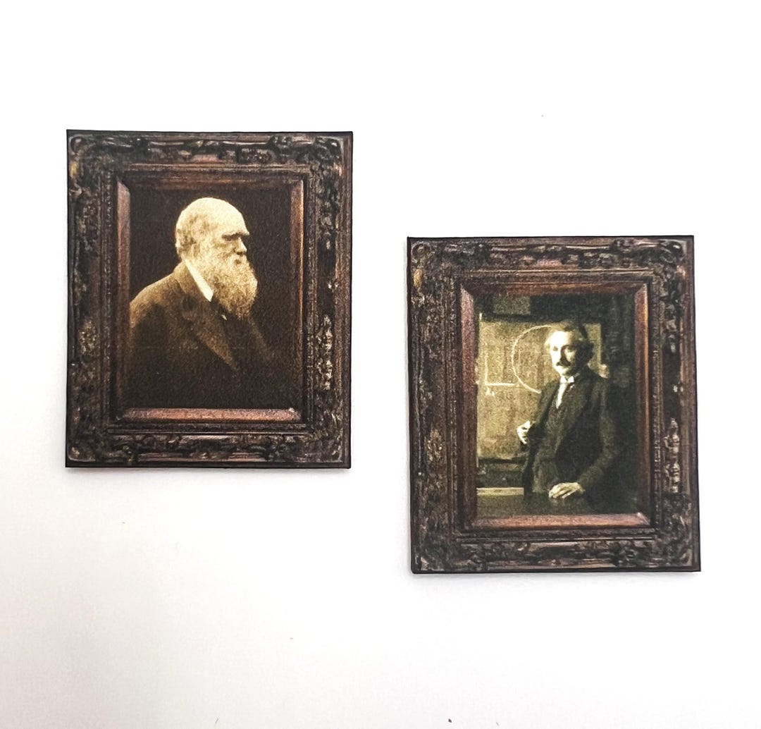 Scale Miniature PAPER Faux Framed Portrait of Darwin or Einstein - Etsy