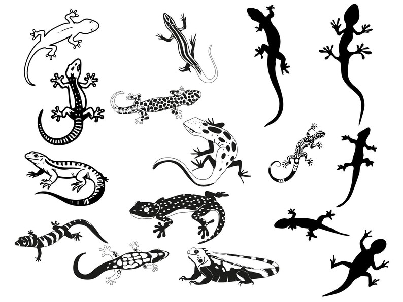 LIZARD SVG Bundle Gecko Cricut Reptile Png for Shirts Salamander Cut ...