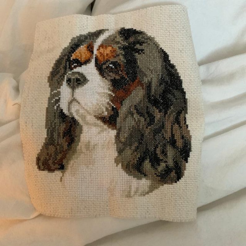 Tricolor Cavalier King Charles Spaniel Dog Counted Cross Stitch Pattern ...